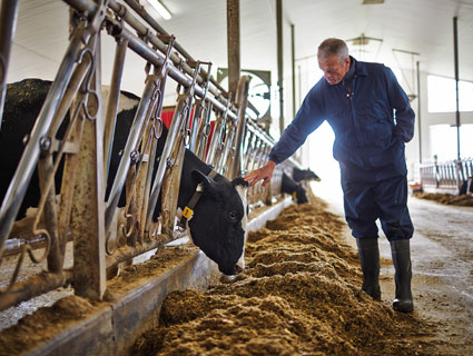 Nutrition Animale | Cargill France